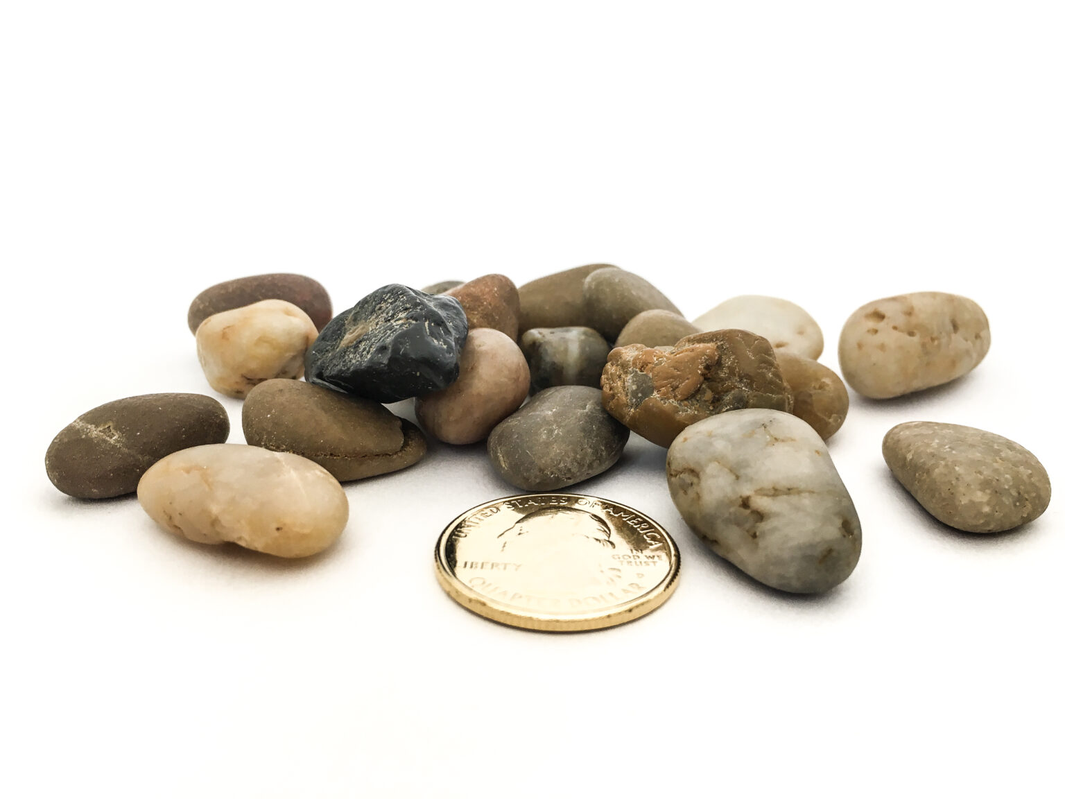 Buy Kettle Corn Decorative Pebbles for Sale near Los Angeles, California