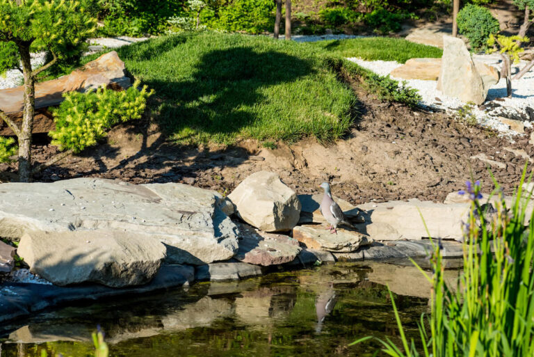 DIY Rock Landscaping Ideas to Transform Your Backyard | US Rock Corporation